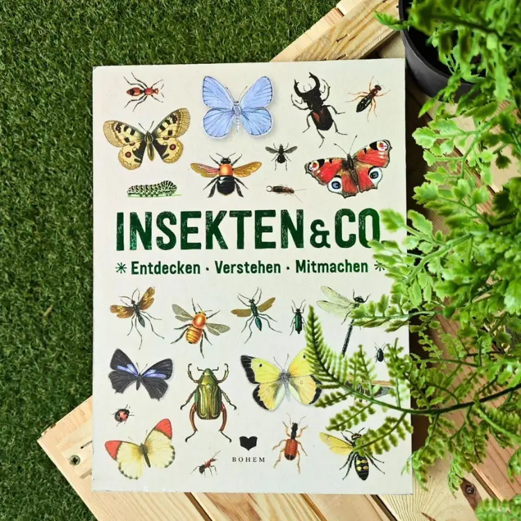 Willkommen bei Bohem Press